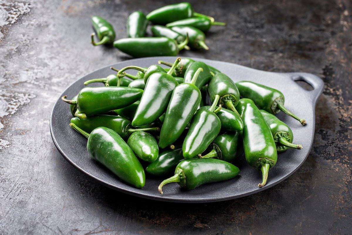 Jalapeño Chilli Pepper | One Stop Chilli Shop