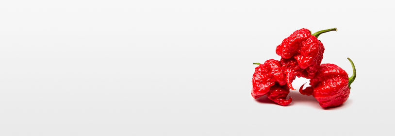 Home - One Stop Chilli Shop - Portsmouth UK Chilli Shop